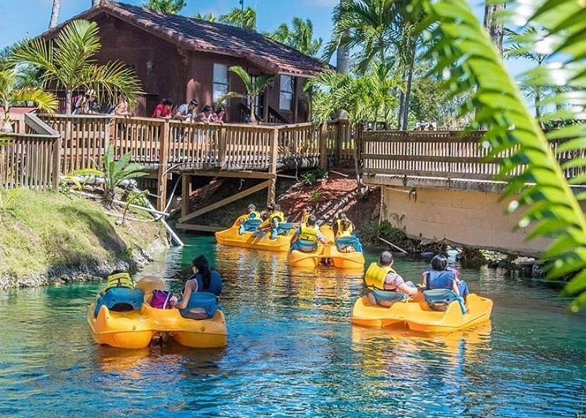 Pinto's Farm - My Jewish Florida